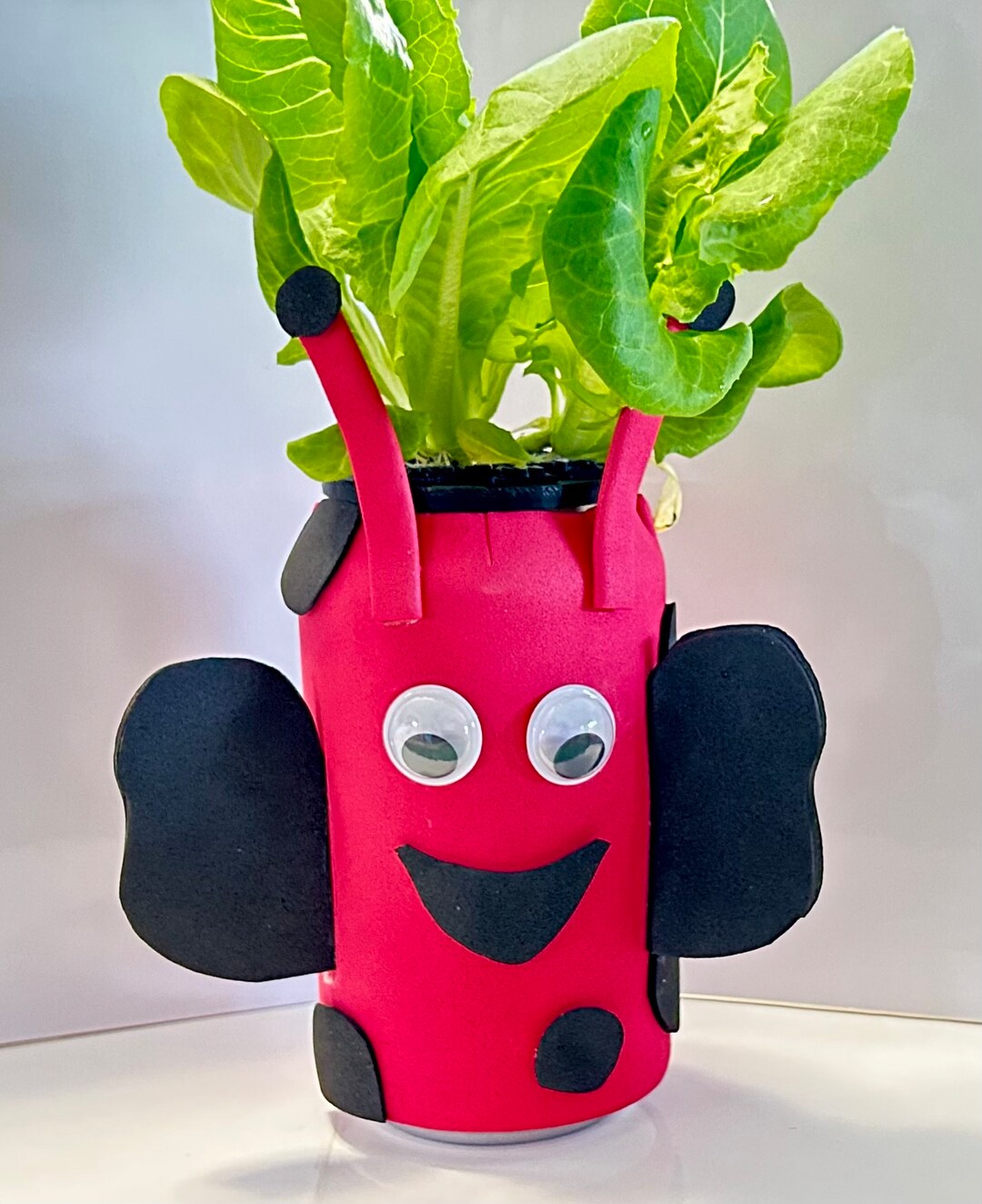 Hydroponics for Aluminum Tin Cans Anti-algae Push-on PUSH Pod™ - Etsy