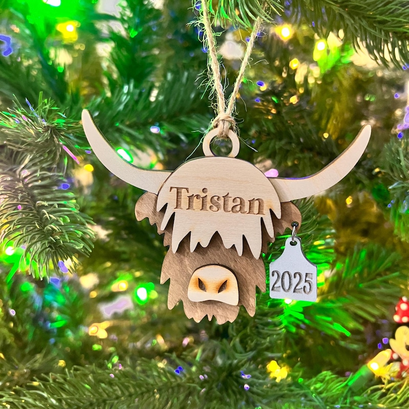 Highland Cow Paint Ornament - Etsy