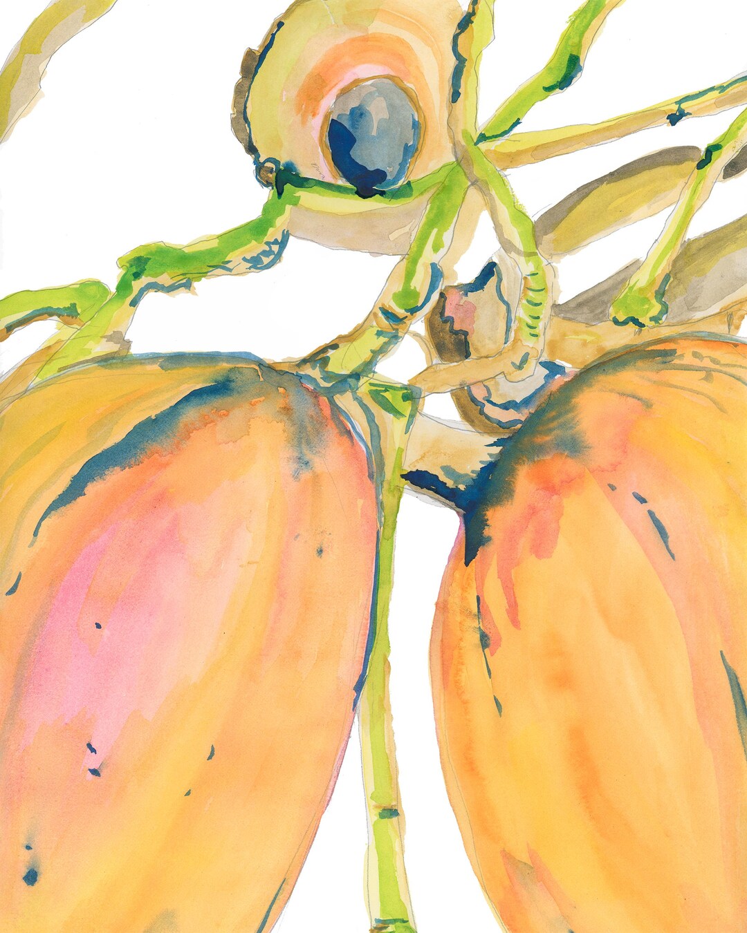 Orange Coconuts Tropical Modern Watercolor Artwork Fine Art Print - Etsy