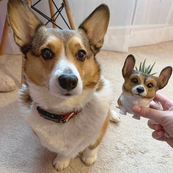 Corgi Planter - Etsy