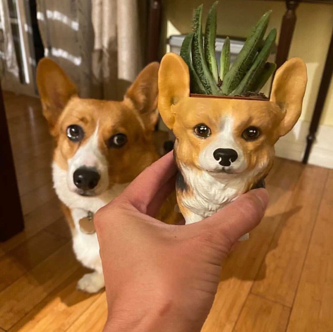 Corgi Dog Custom Planter Pot Personalized Dog Statue 3d - Etsy