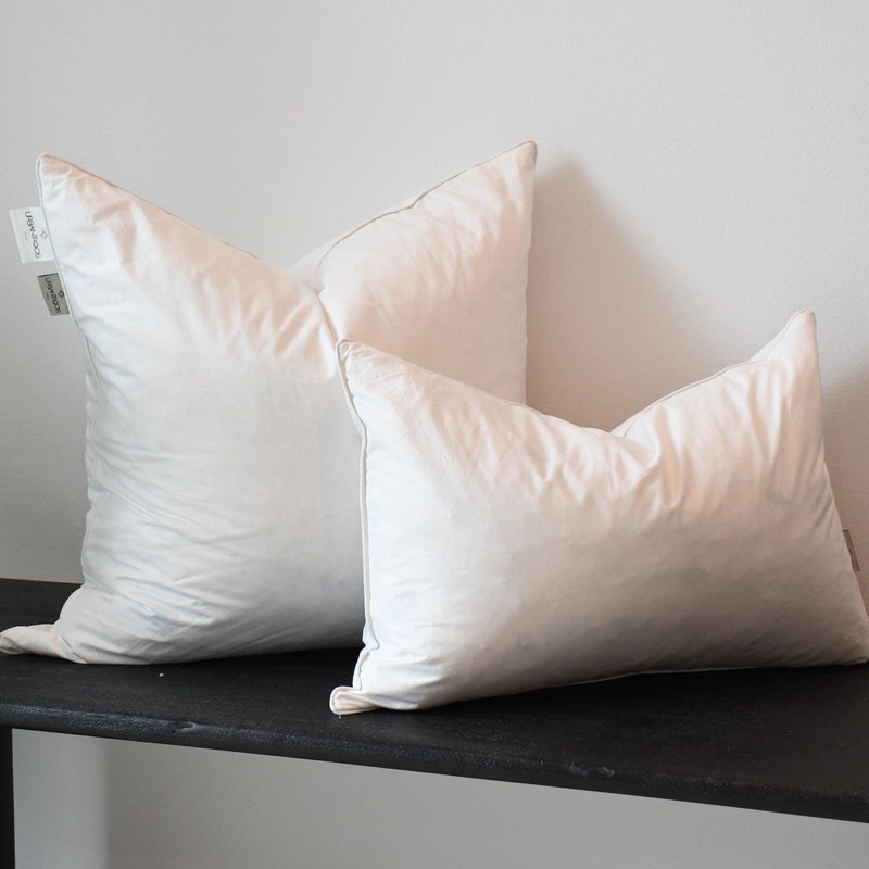 Pillow Inserts Goose Down - Etsy