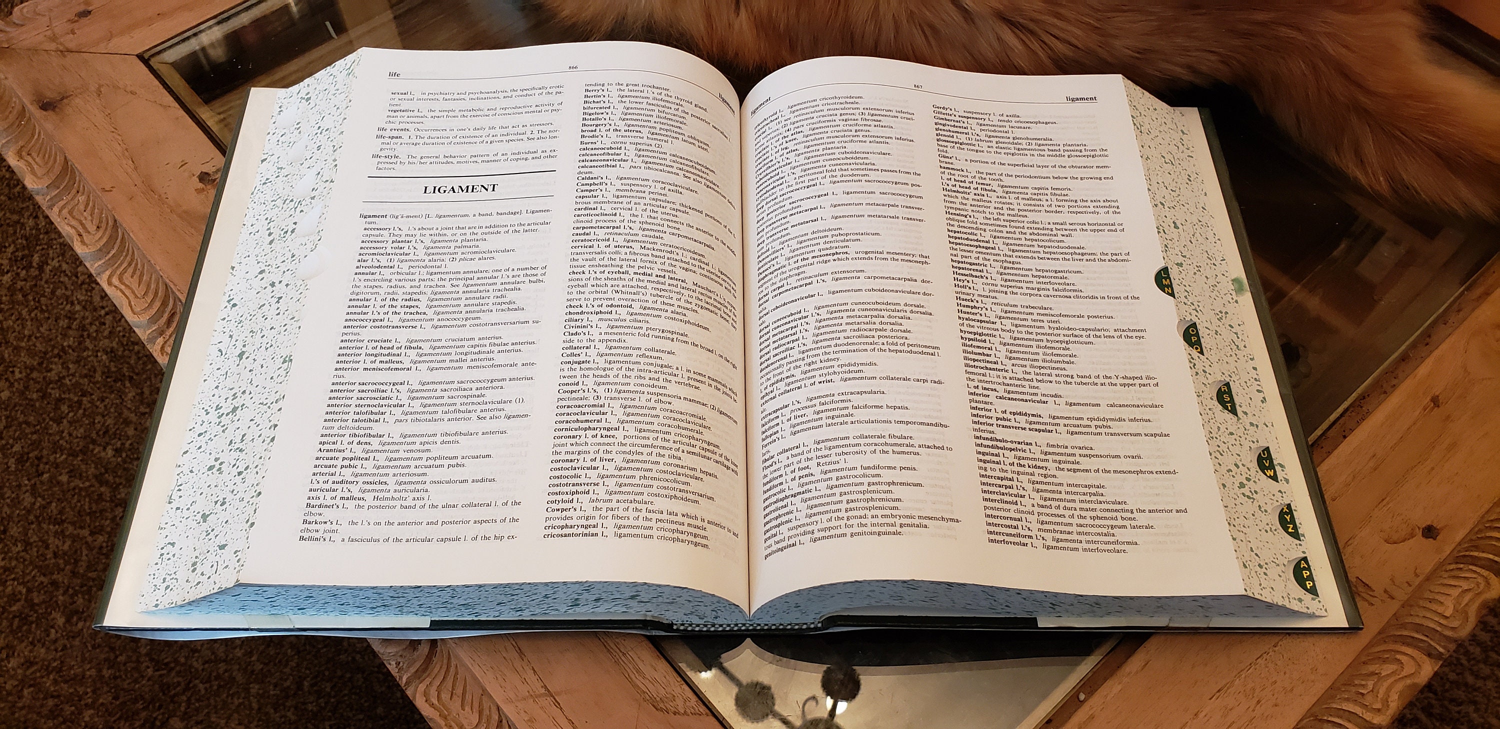 Stedman's Medical Dictionary 25th Edition Free Shipping - Etsy