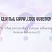 IB TOK Bundle: Essay + Presentation From May 2019 | Grade A - Etsy