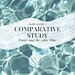 7 Awarded IB Visual Arts SL Comparative Study - Etsy