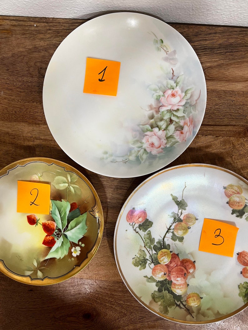Your Chooseantique Hand Painted Plates Marked. A12 0823 - Etsy