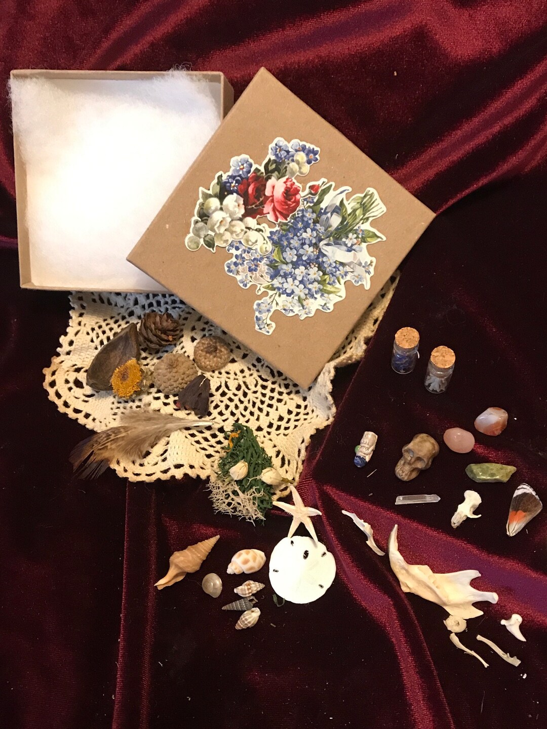 Curiosities Oddities Box Natural History Science Bones Semiprecious ...