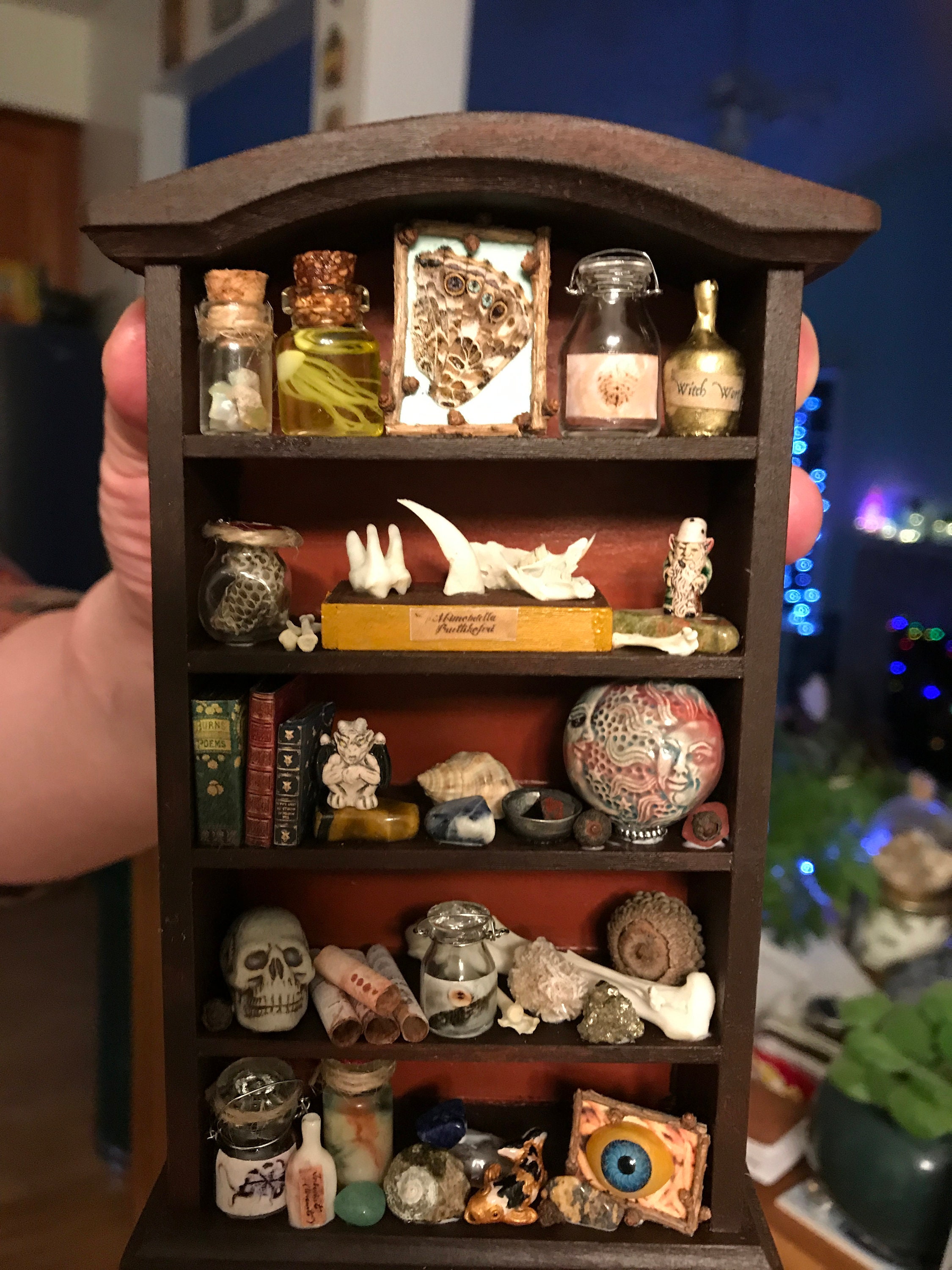 Art & Collectibles Miniature Oddities Collection Miniature Cabinet of ...
