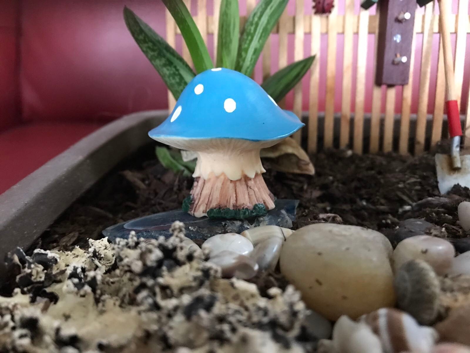 Miniature Mushroom House With Blue Roof - Etsy