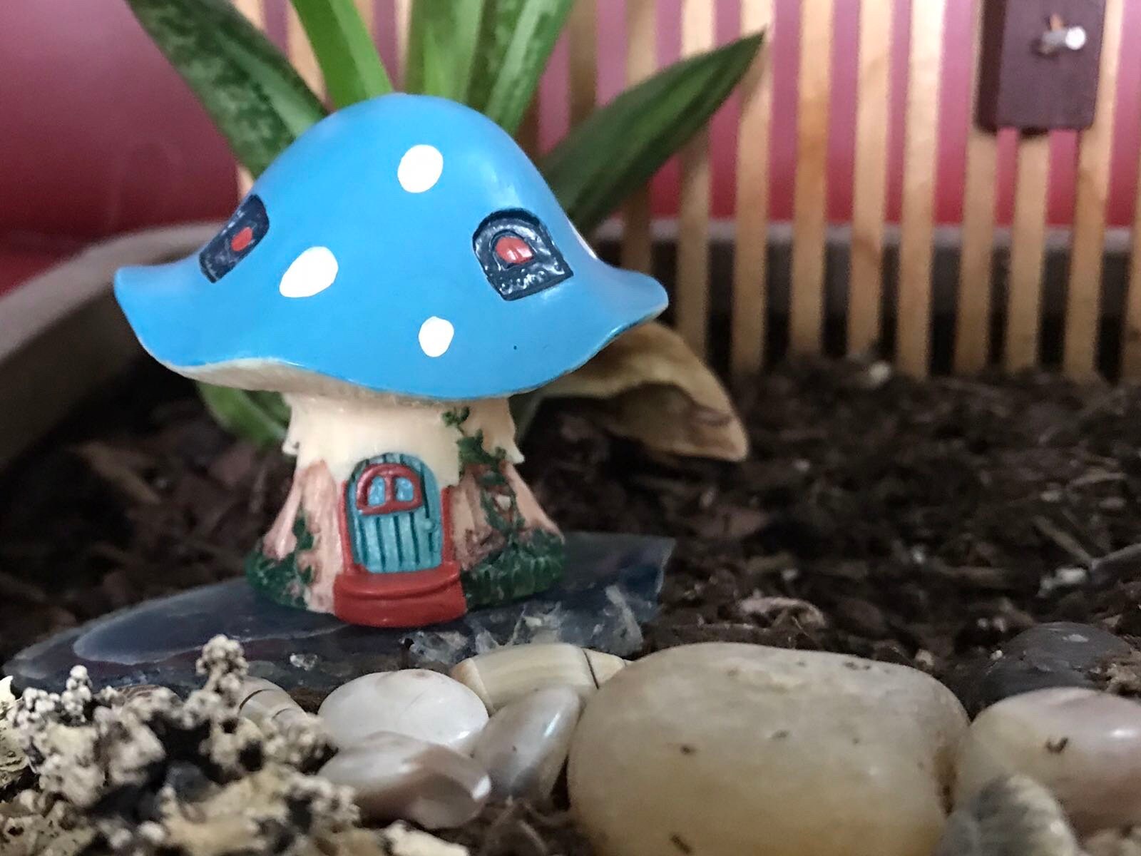 Miniature Mushroom House With Blue Roof - Etsy