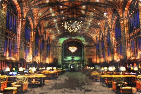 University of Chicago Student Library great Unique Gift Idea - Etsy