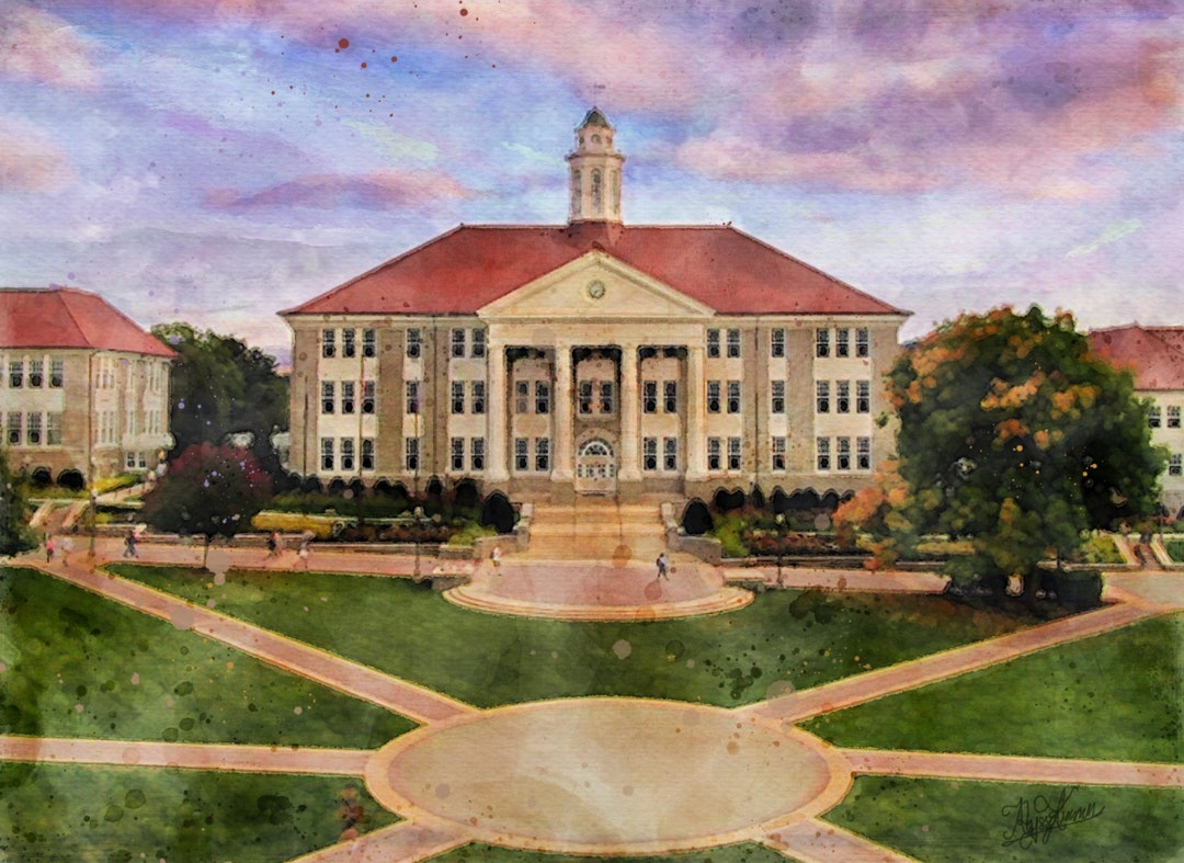James Madison University JMU Artwork Handpainted Unique Gift Graduation ...