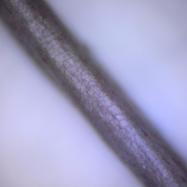 Microscopic - Etsy