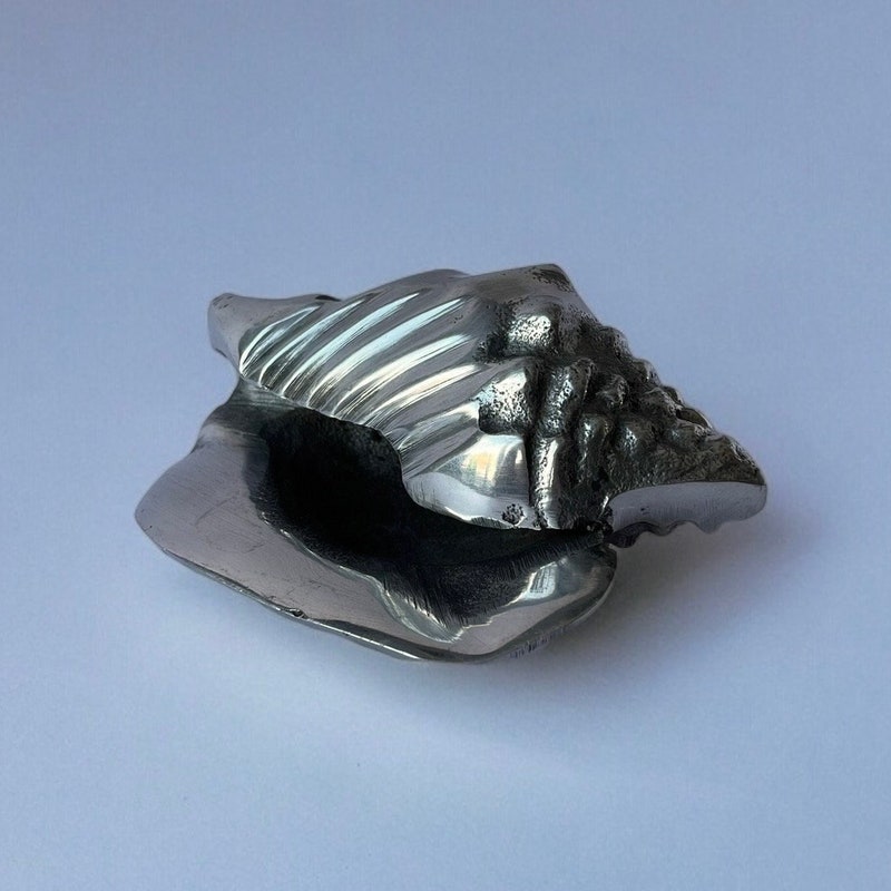 Conch Shell Lamp - Etsy