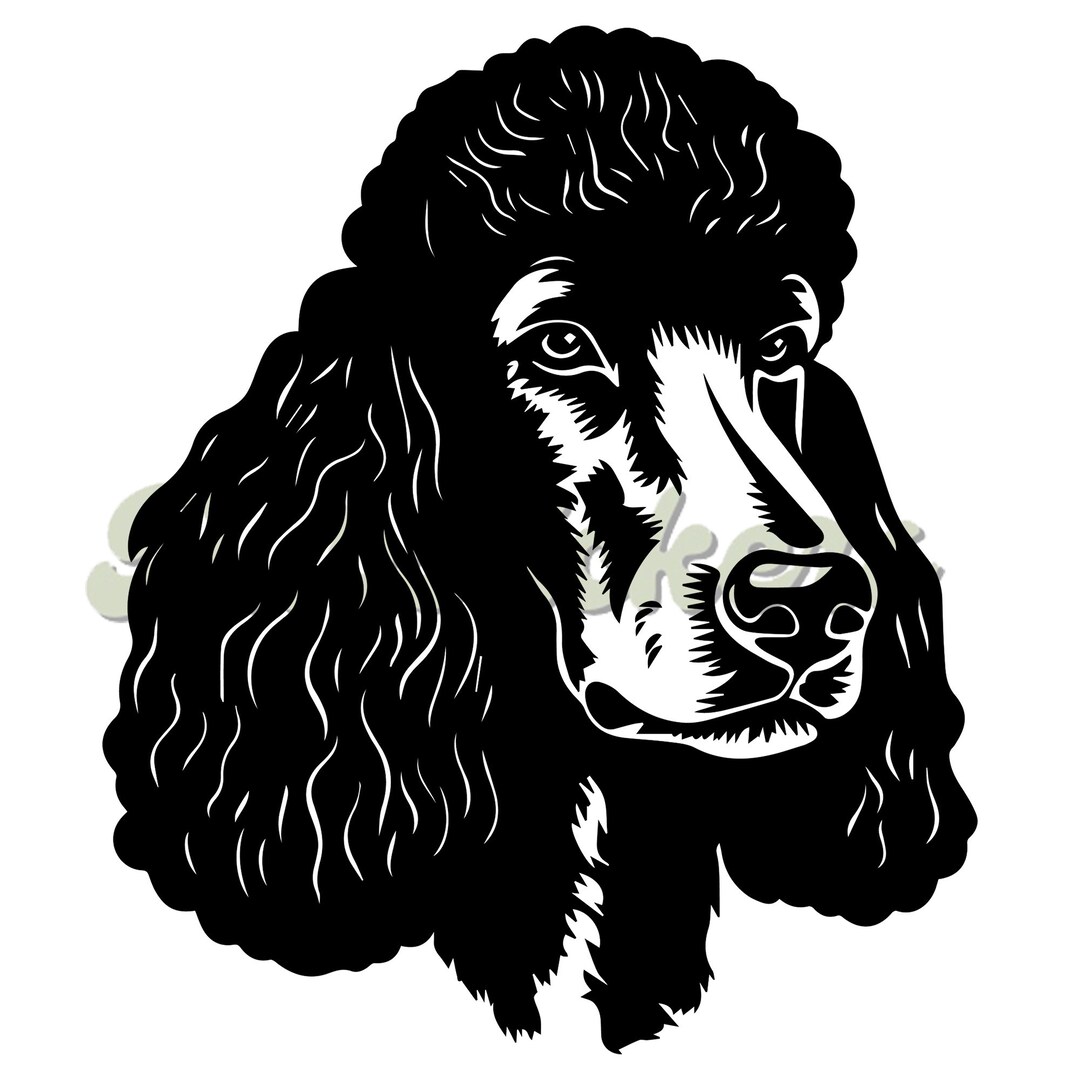 Standard Poodle Dog Head Decal Vinyl Waterproof Sticker Car - Etsy Canada