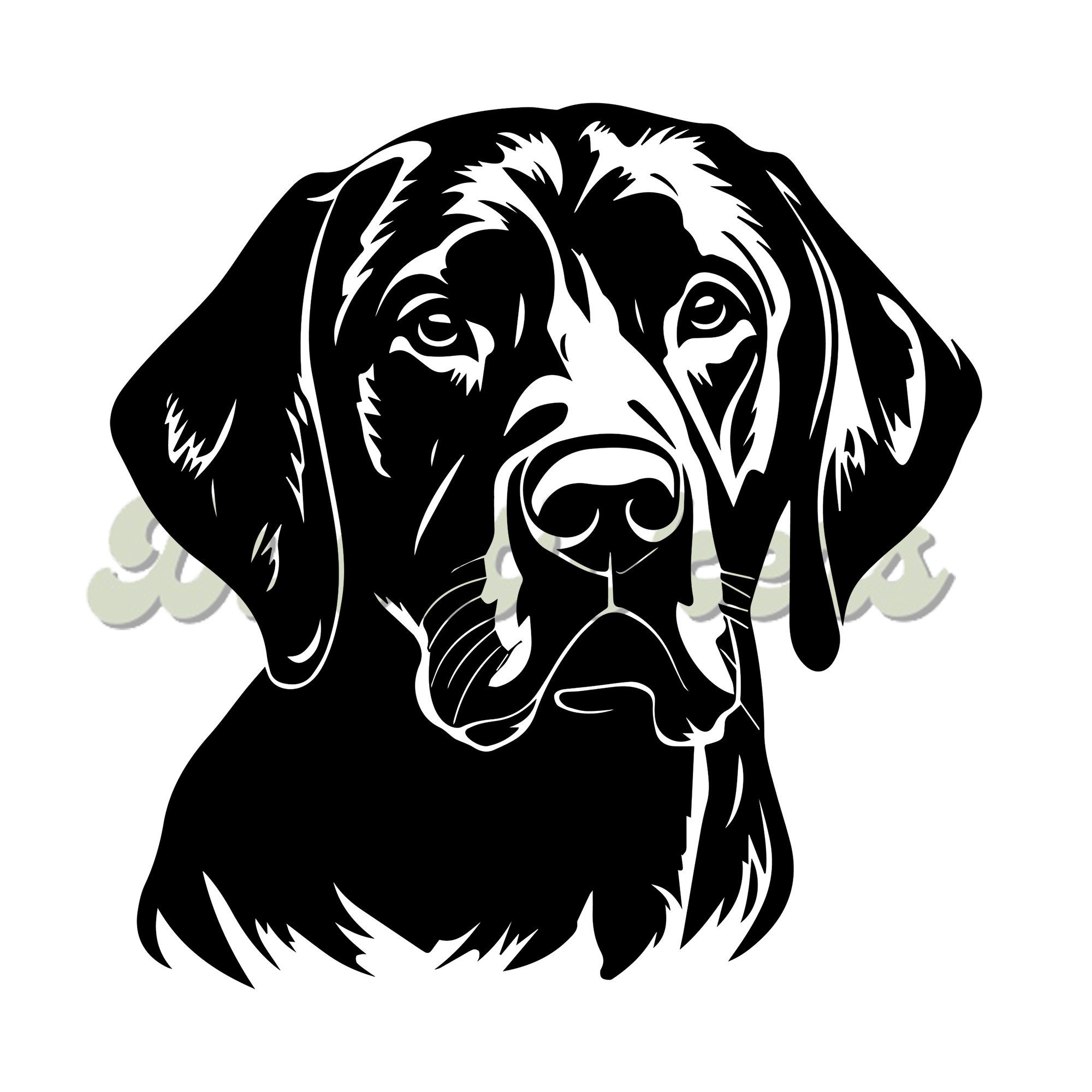 Labrador Dog Head Decal Vinyl Waterproof Sticker Car Window Walls Vinyl ...