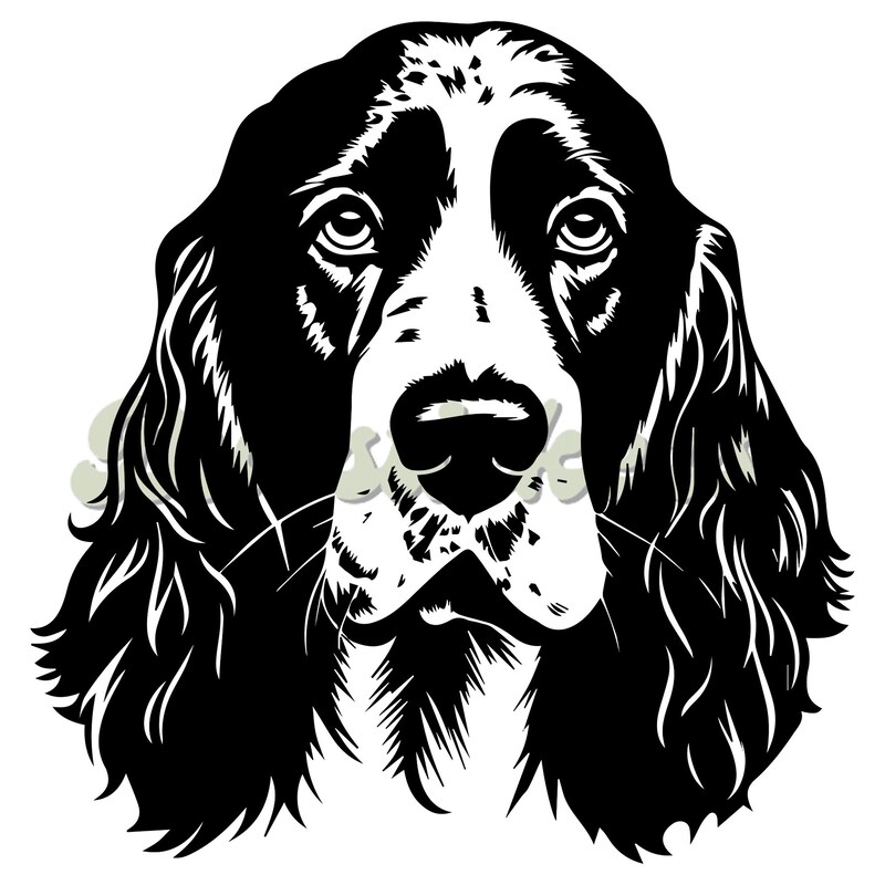 Spaniel Decal - Etsy