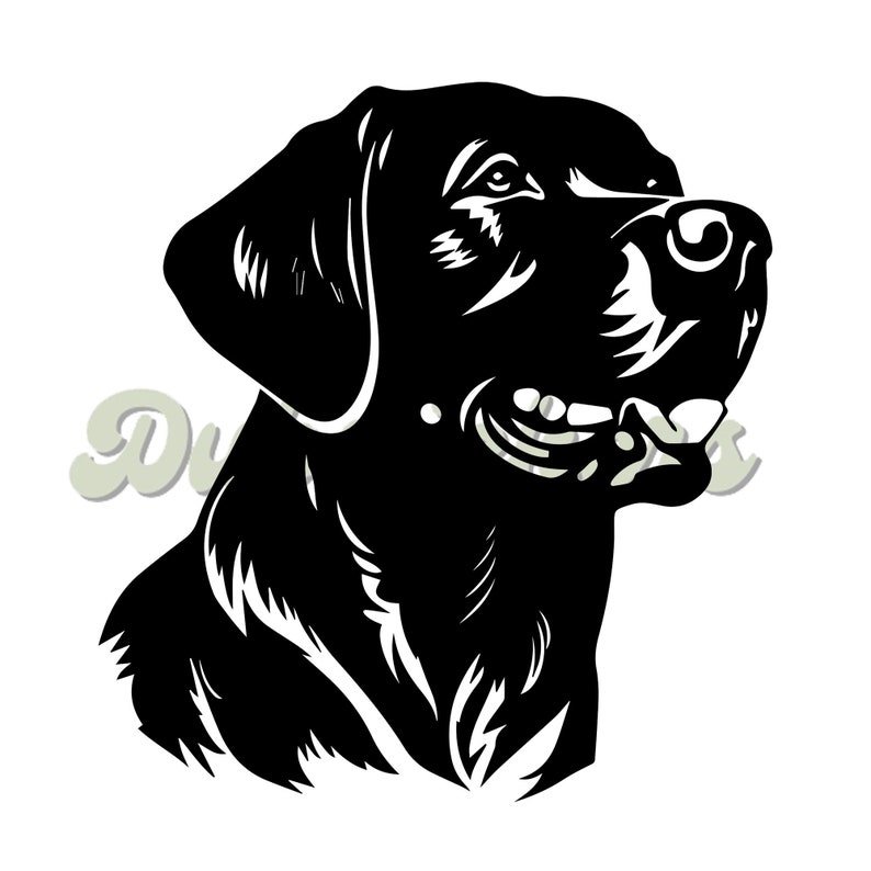 Labrador Dog Head Decal Vanlife Campervan Car Decal Sticker Vinyl ...