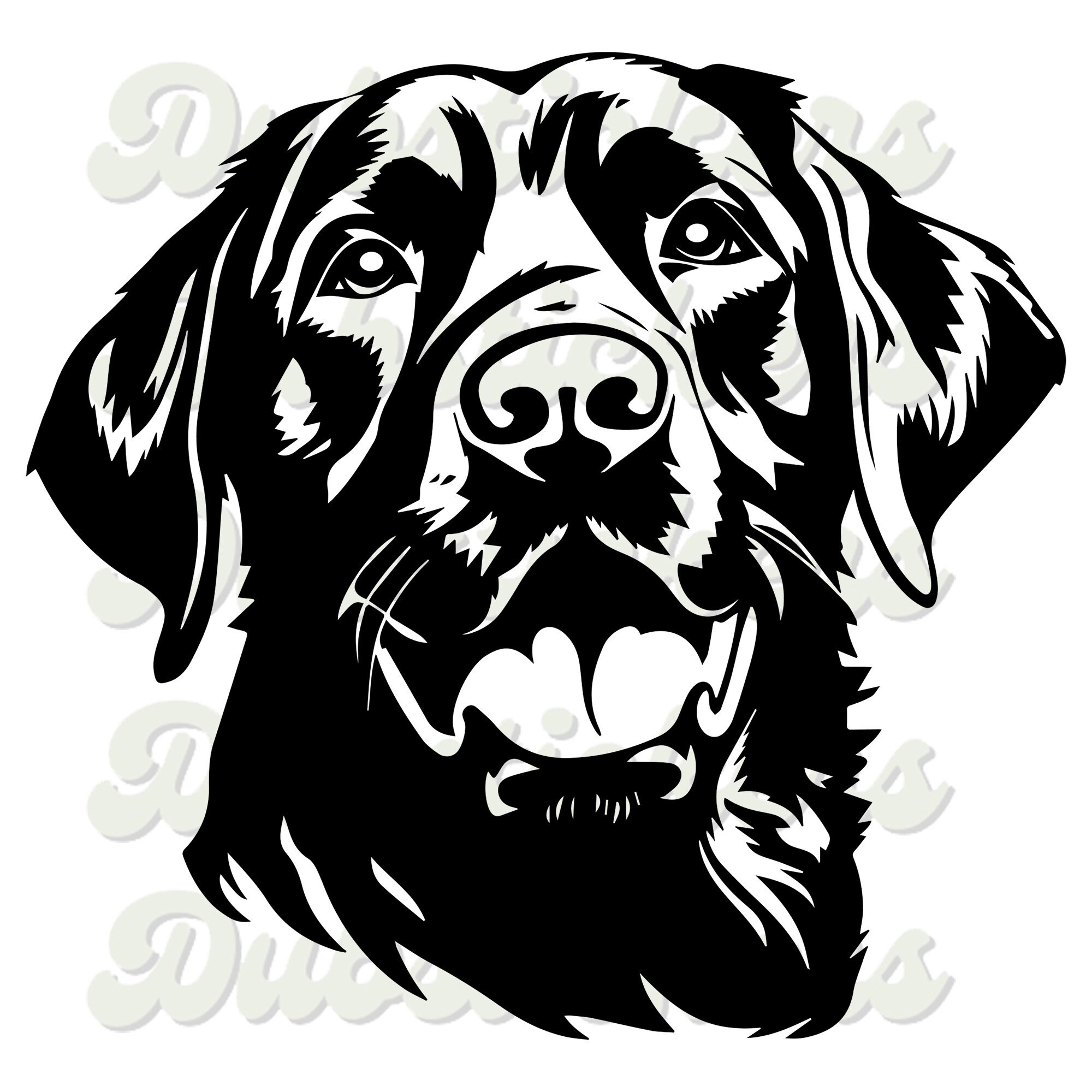 Chocolate Labrador Dog Head Decal Vanlife Campervan Car Decal Sticker ...