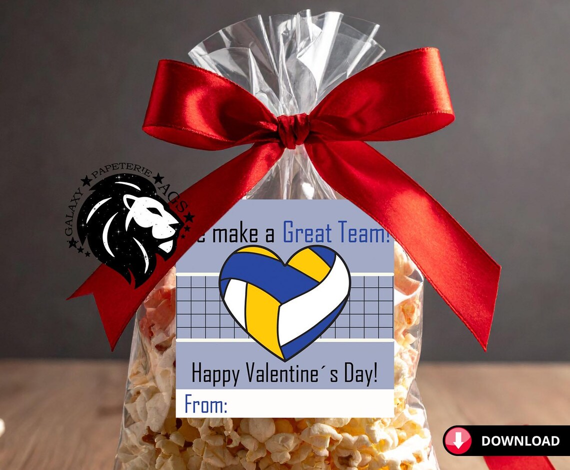 We Make a Great Team, Volleyball Valentines Day Gift Tag, Volleyball ...