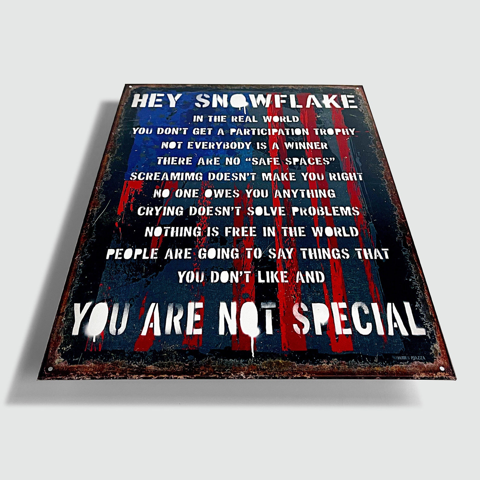 16 Hey Snowflake in the Real World You Are Not Special - Etsy
