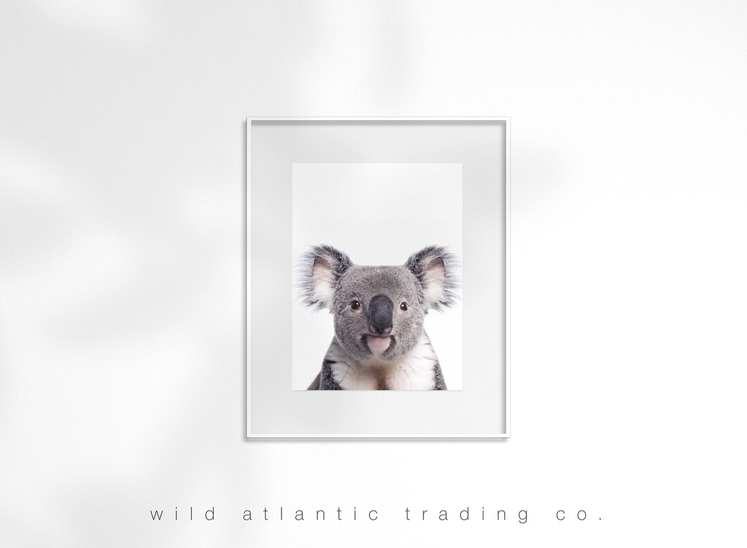 Printable Baby Koala Digital Download Australian Nursery Animal Print ...