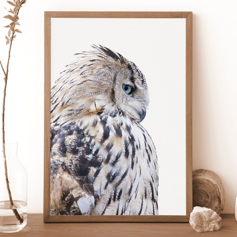 Hedwig Poster - Etsy