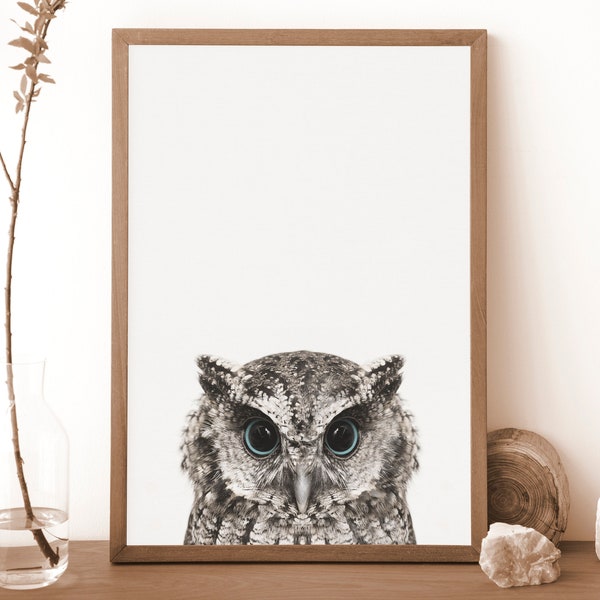 Hedwig Poster - Etsy