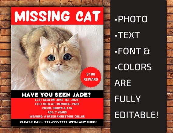 Lost Cat Poster Template
