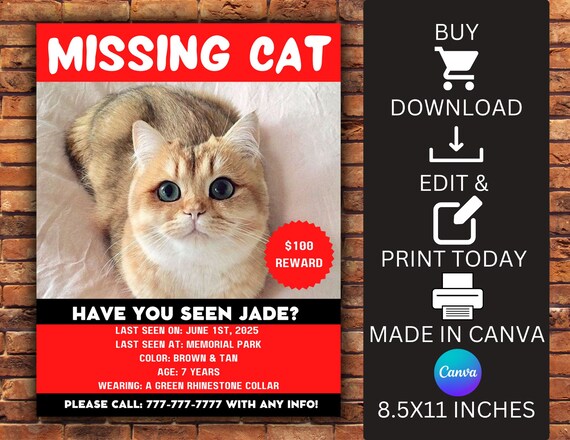 Missing Reward Poster Template