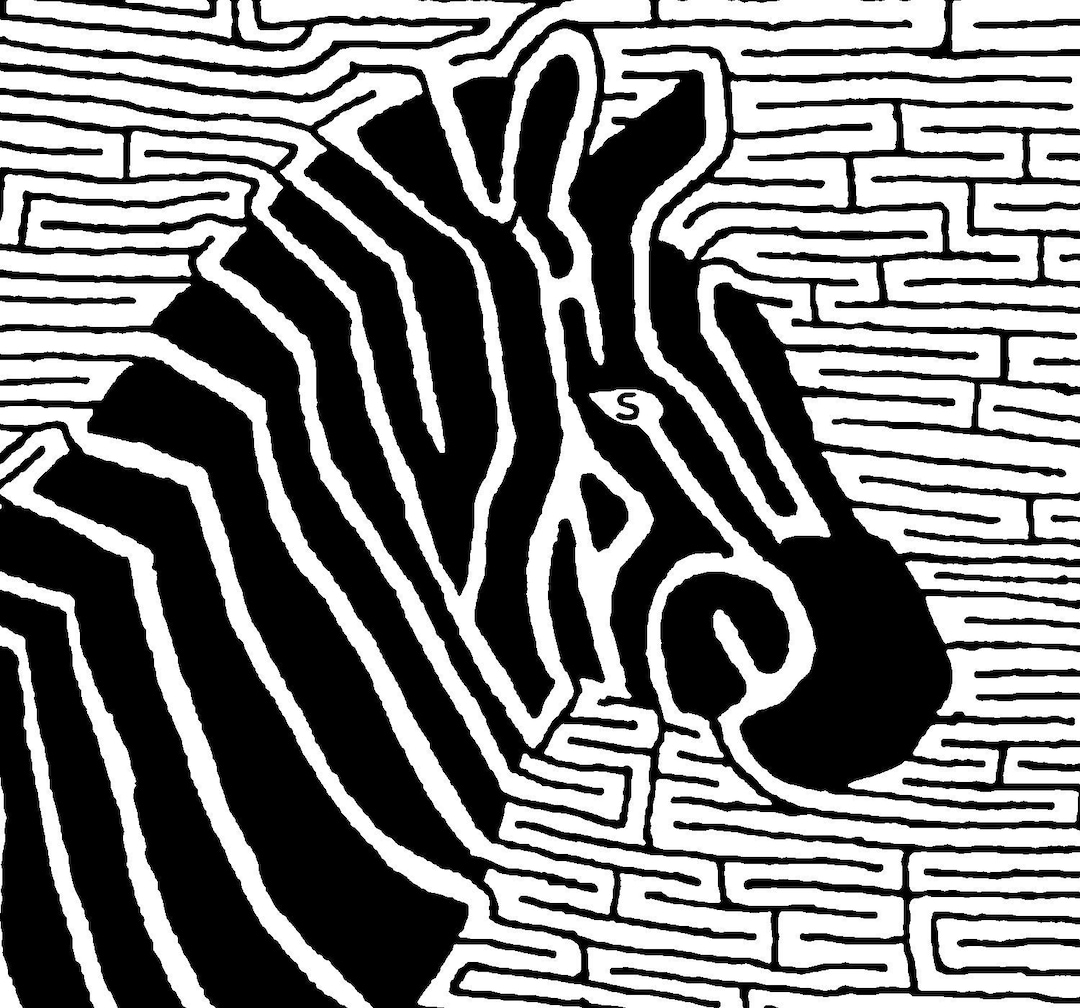 Plains Zebra Inspired Hand Drawn Zebra Maze - Etsy