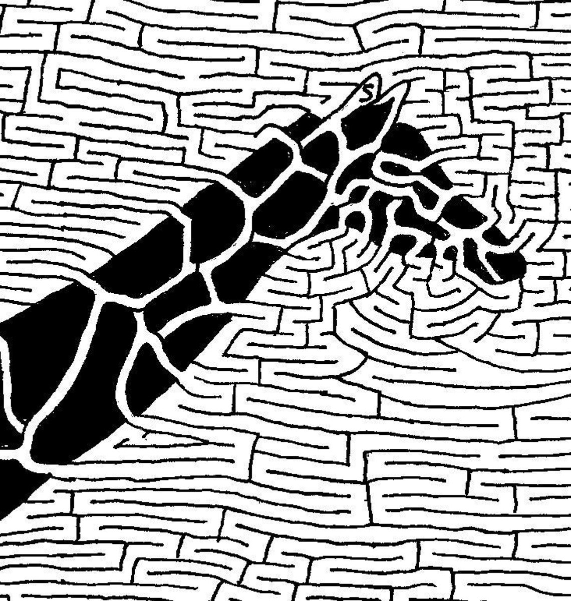 Reticulated Giraffe Inspired Hand Drawn Giraffe Maze | Etsy