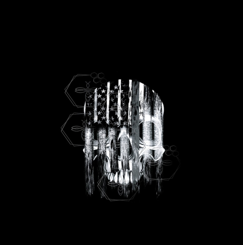 Flag and Skull, Thin Grey Line, Corrections, First Responders, Vivid ...