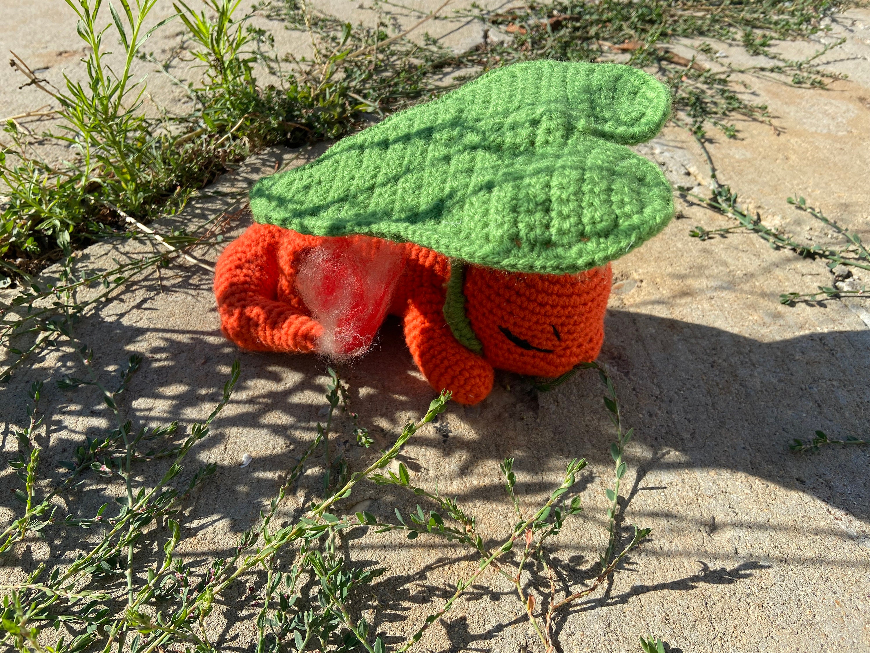 Sleeping Charmander With Leaf - Etsy