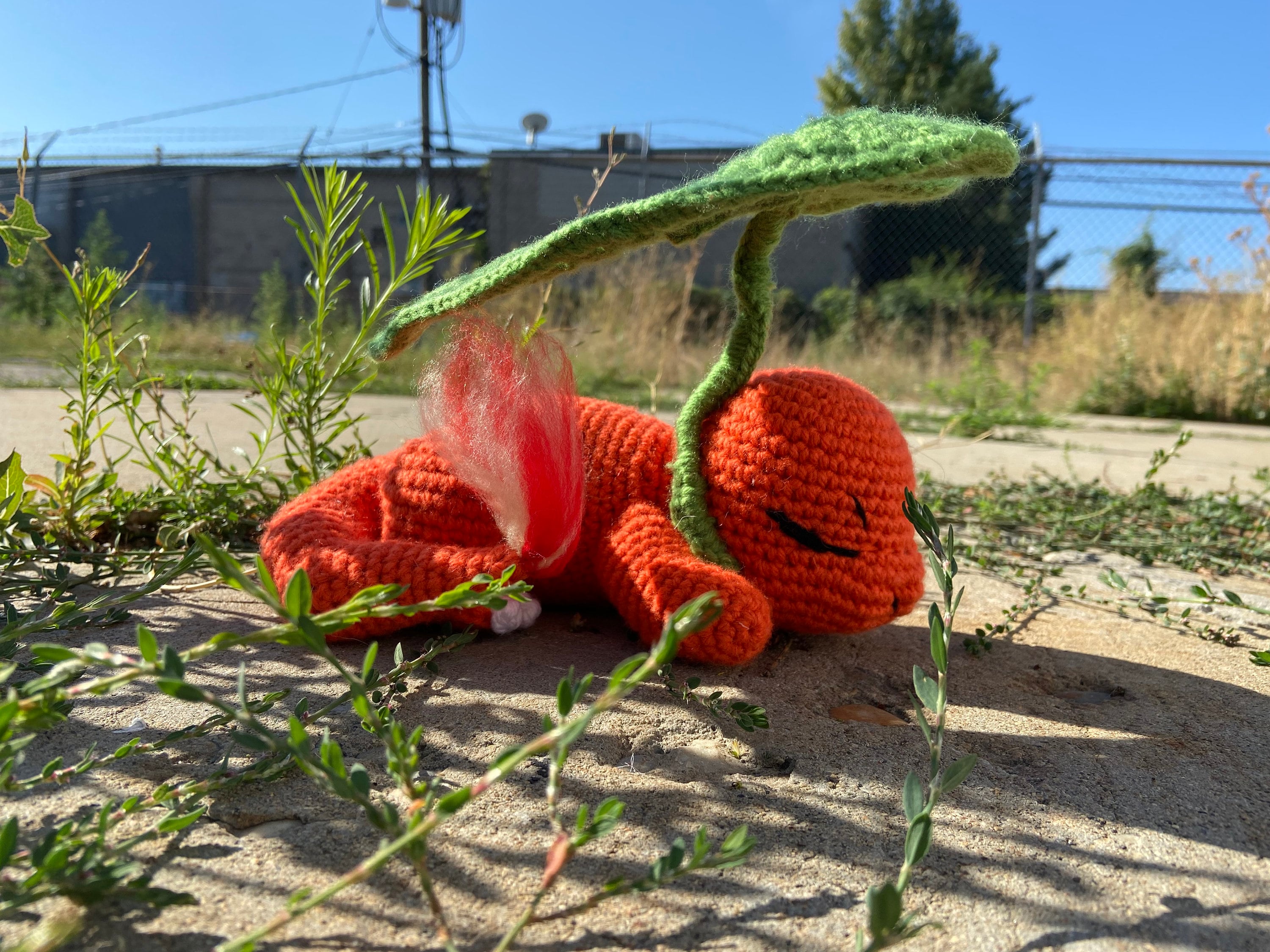 Sleeping Charmander With Leaf - Etsy