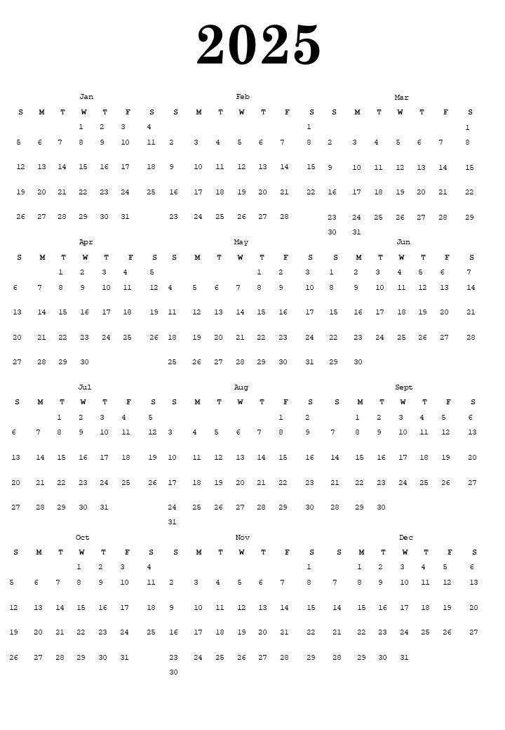 2025 Year at a Glance Calender Planner Printable Download - Etsy