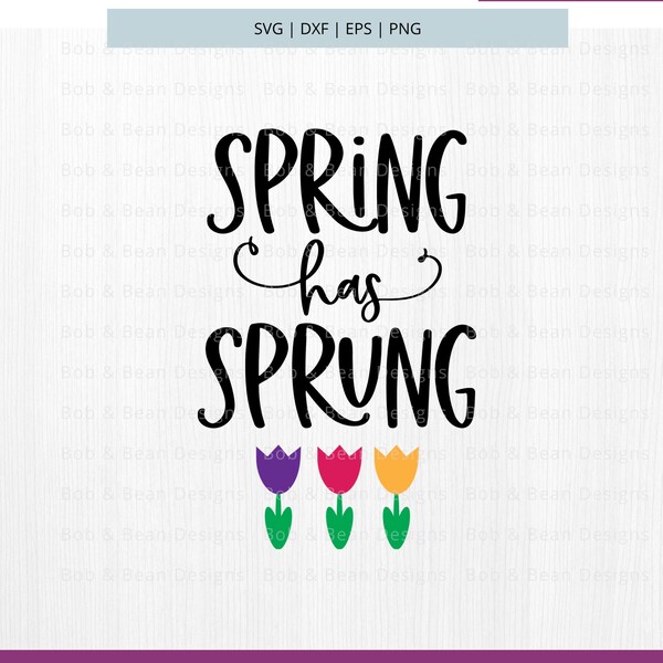 Spring Has Sprung Clipart - Etsy