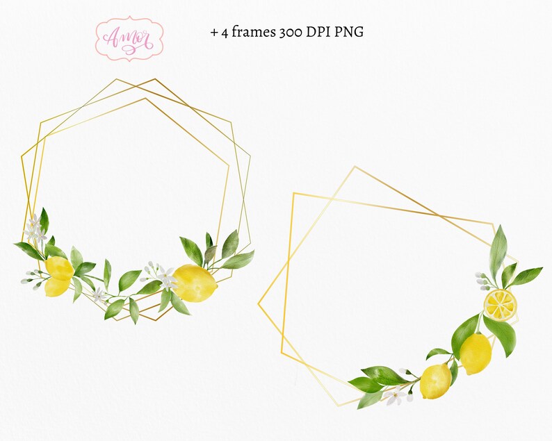 Watercolor Lemon Clipart Png, Citrus Clipart, Lemon Frames PNG, Lemon ...