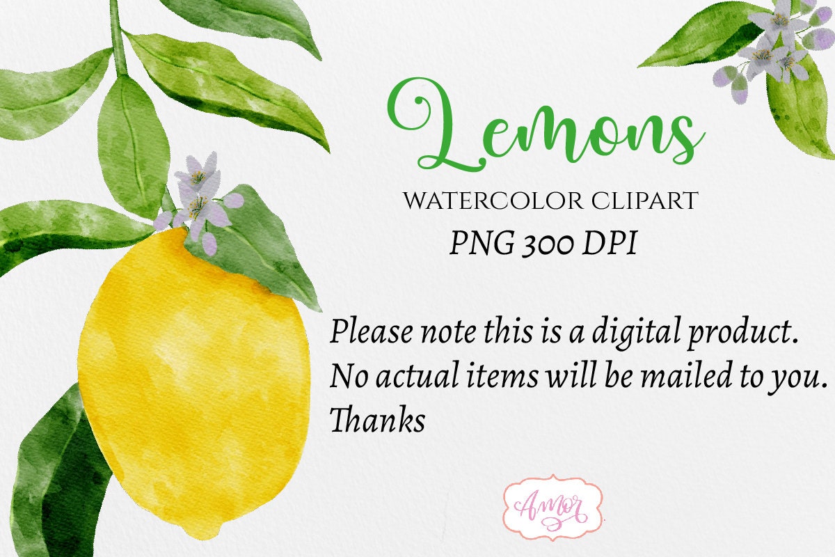 Watercolor Lemon Clipart PNG, Citrus Clipart, Lemon Frames PNG, Lemon ...