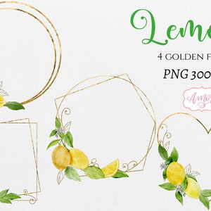 Watercolor Lemon Clipart PNG, Citrus Clipart, Lemon Frames PNG, Lemon ...