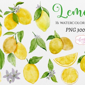 Watercolor Lemon Clipart PNG, Citrus Clipart, Lemon Frames PNG, Lemon ...