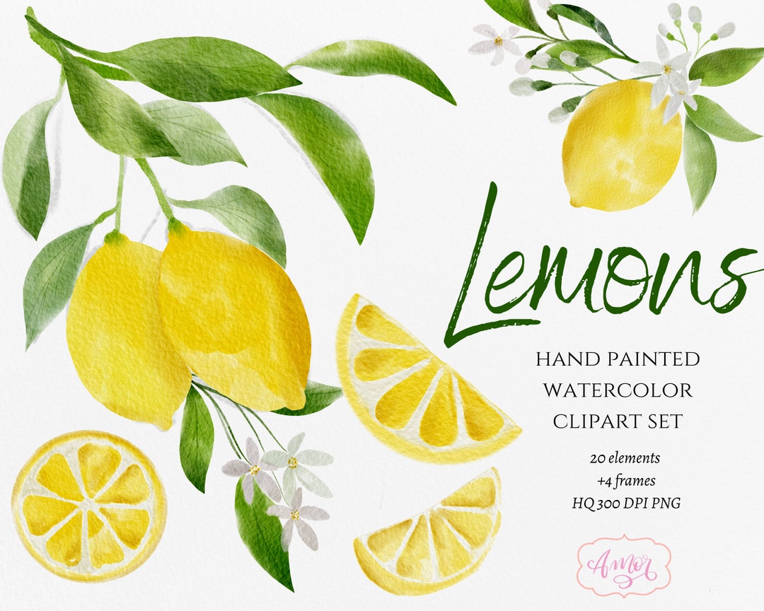 Watercolor Lemon Clipart Png, Citrus Clipart, Lemon Frames PNG, Lemon ...