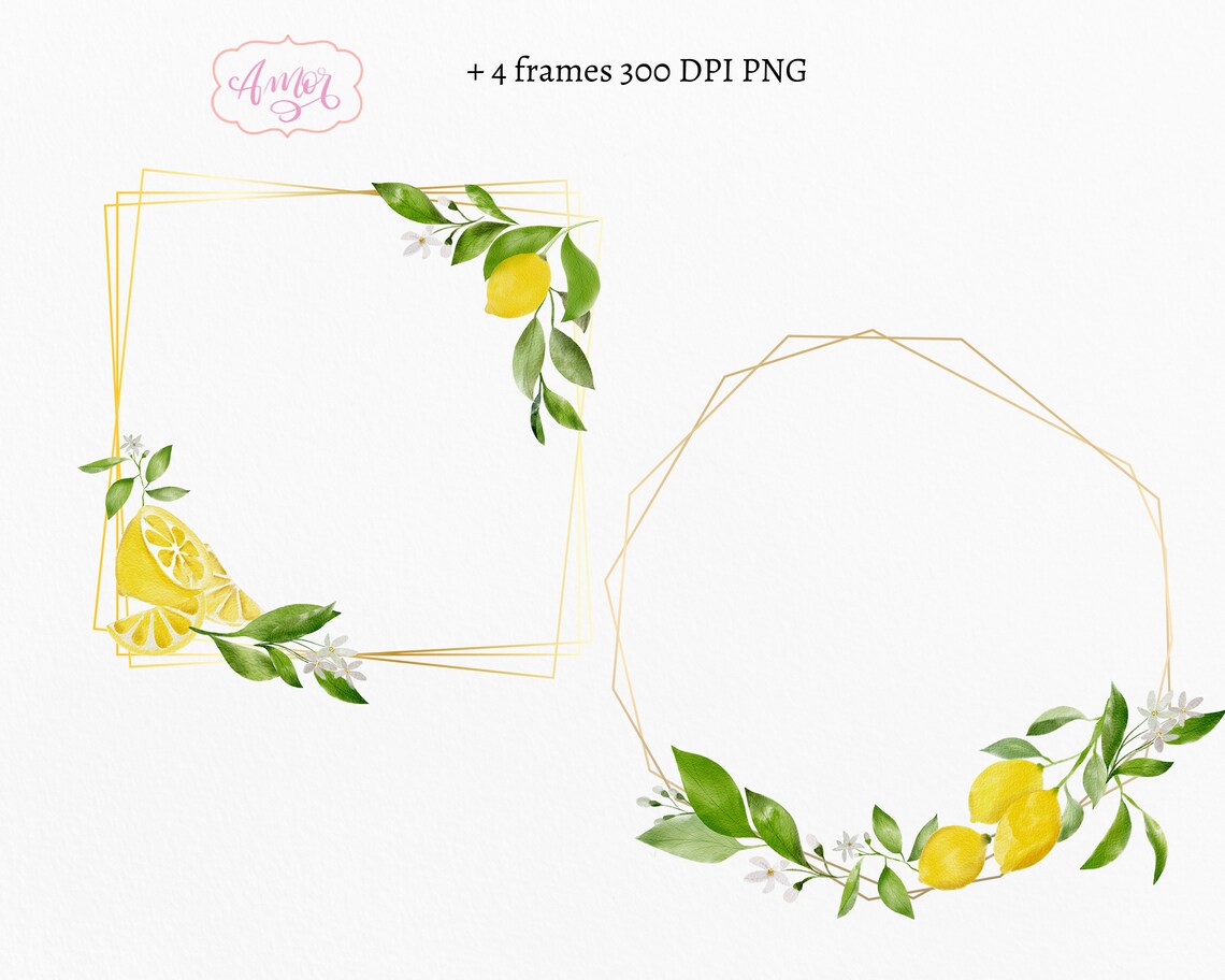 Watercolor Lemon Clipart Png Citrus Clipart Lemon Frames - Etsy Canada