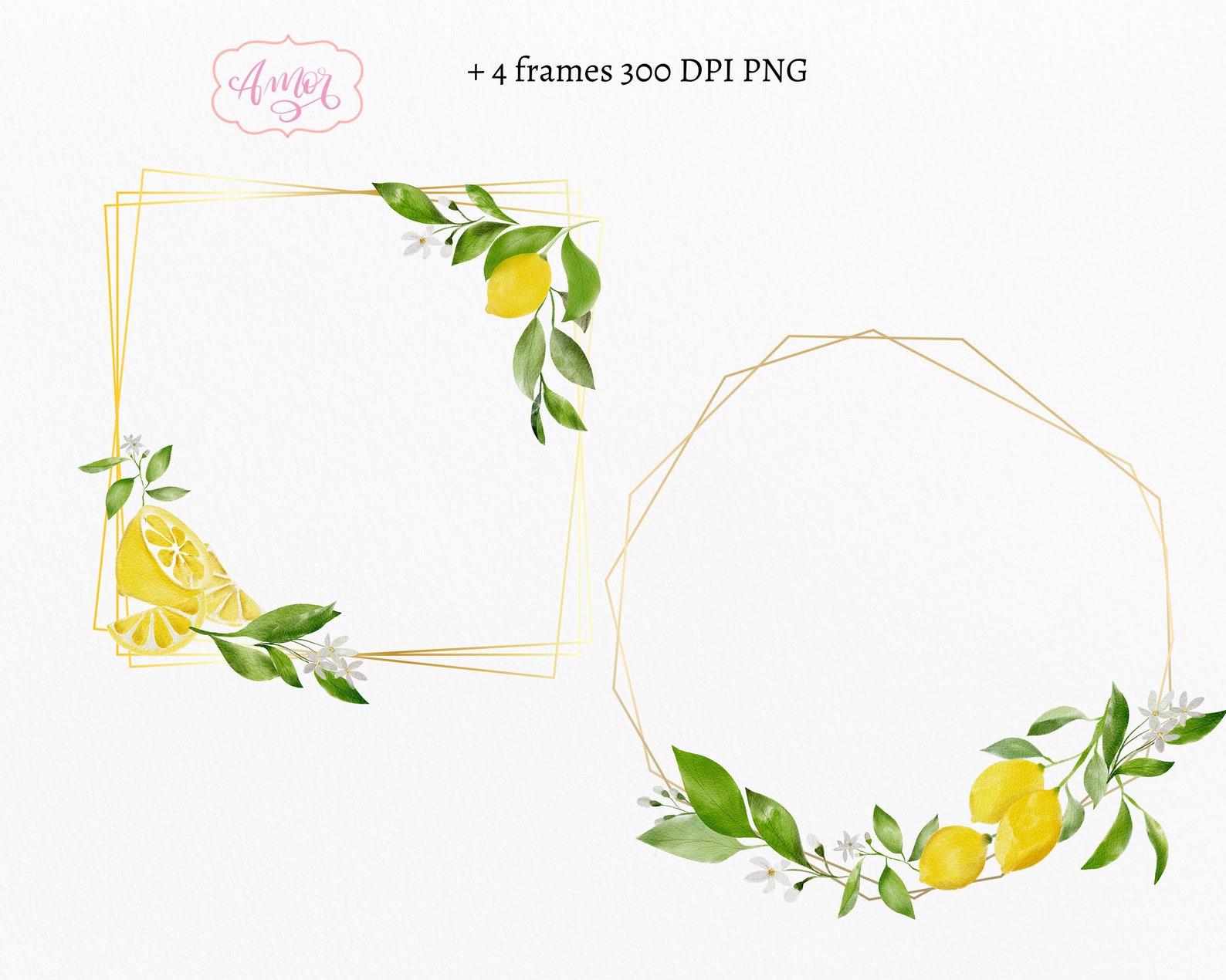 Watercolor Lemon Clipart Png Citrus Clipart Lemon Frames - Etsy Canada