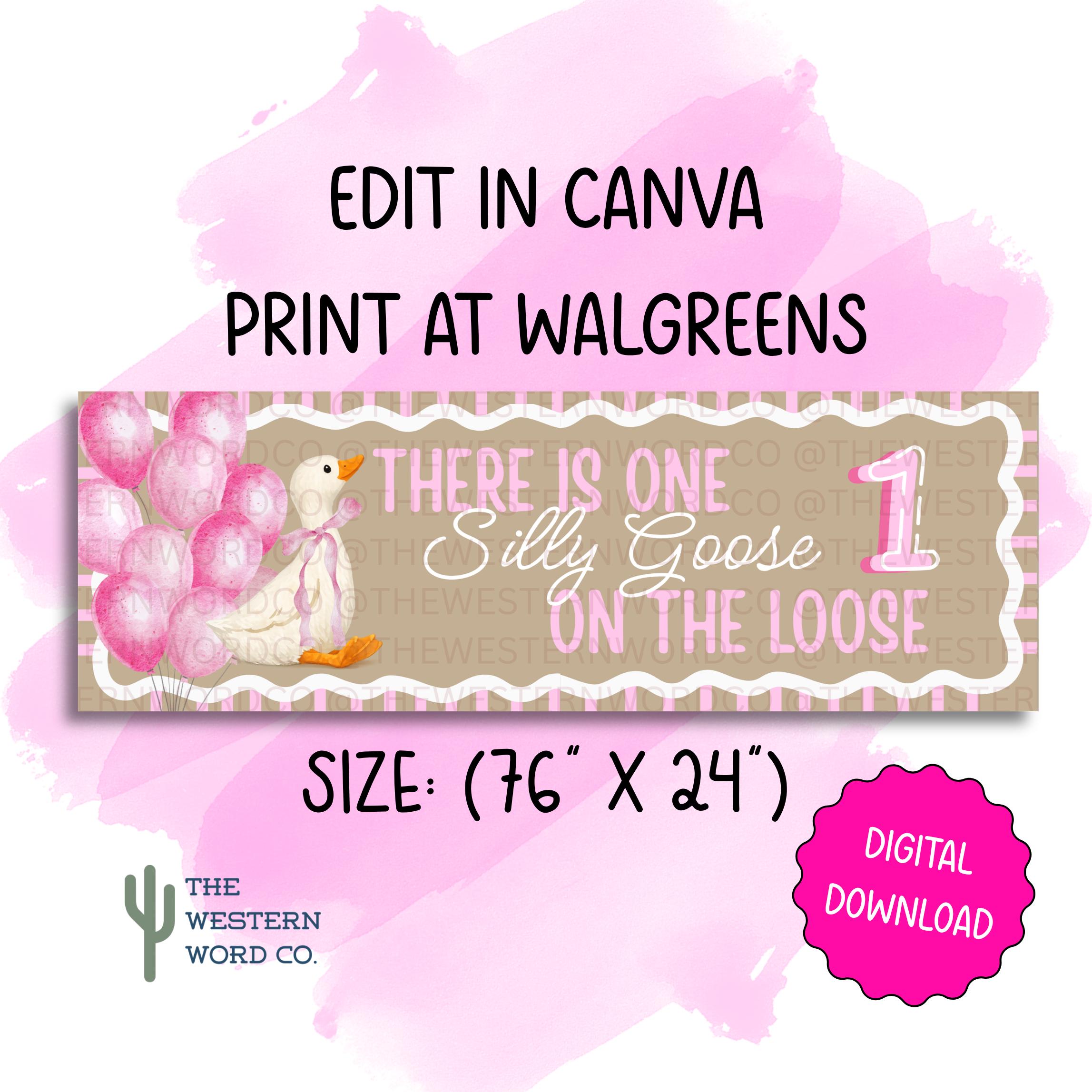 Silly Goose Birthday Banner Template, Editable Canva Backdrop ...