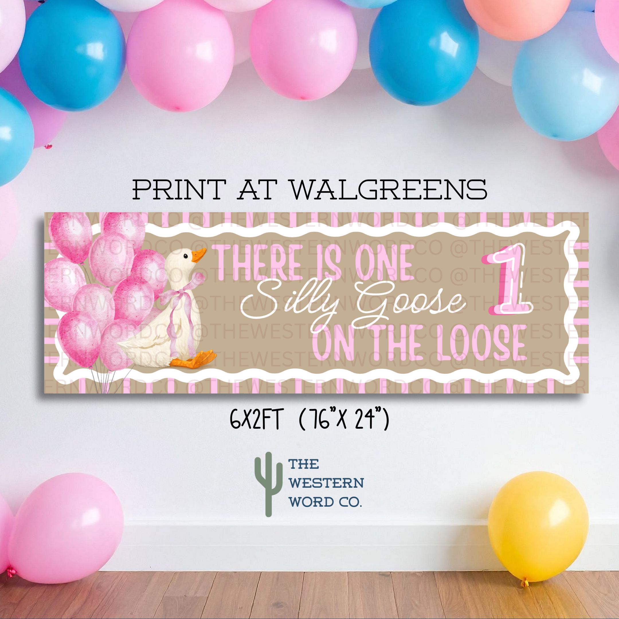 Silly Goose Birthday Banner Template, Editable Canva Backdrop ...