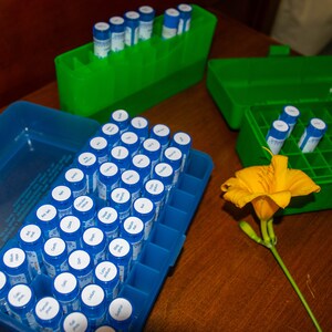 Homeopathy Tube Storage Box Boiron Remedy Container FREE - Etsy Australia