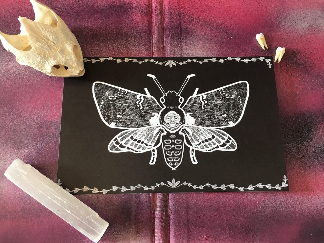 Original Deathhead Moth Goth Art Print - Etsy