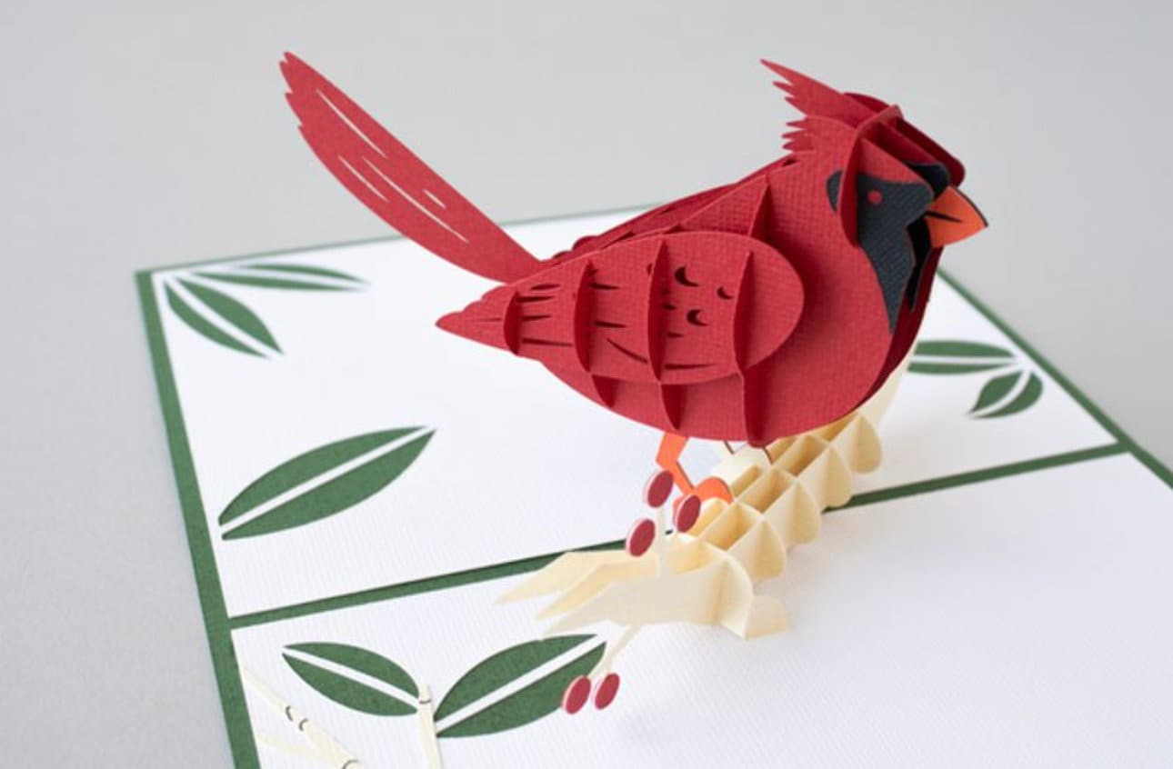 Cardinal Pop-up Card 3D Card for Birthday Cute Card for - Etsy