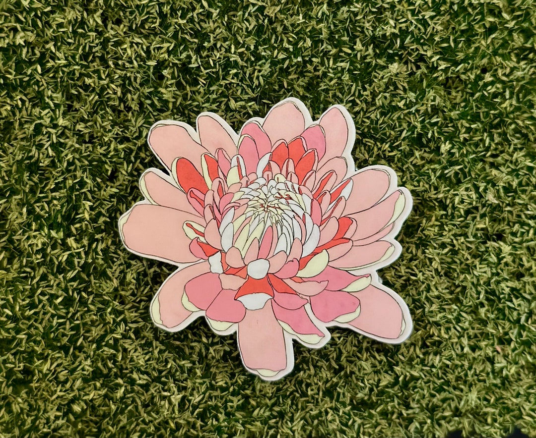 Chrysanthemums Flower Stickers Pack Aesthetic Cute Waterproof Stickers ...